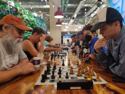 Hawaii Chess Action on the island of Oahu